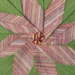 Flat Centers for 8-Point Star